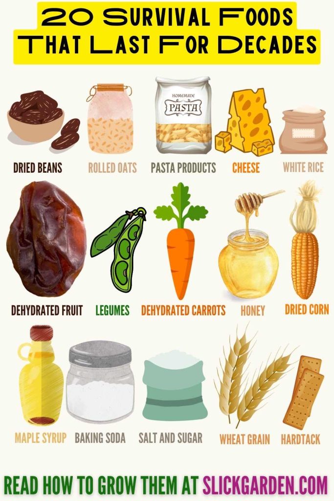20 Survival Foods That Last For Decades - Epic Vill